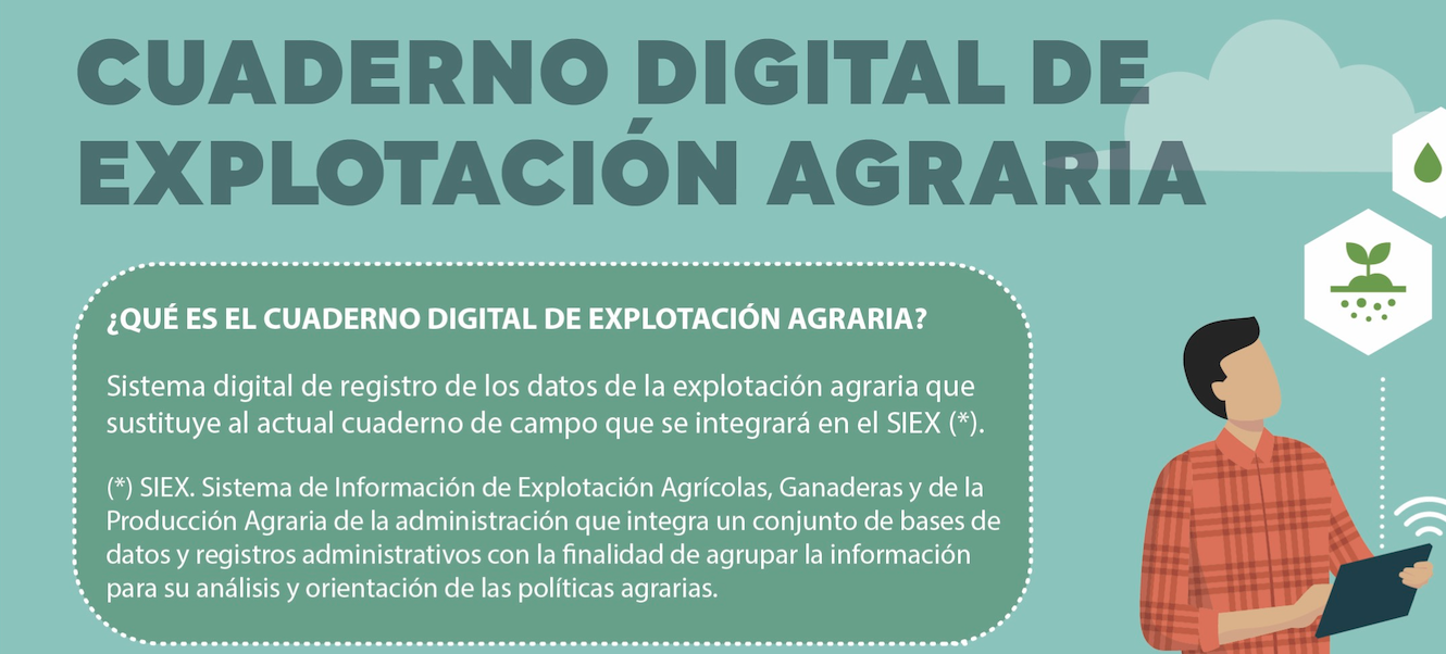 Infografías sobre el cuaderno digital y el programa individualizado de uso sostenible de ...